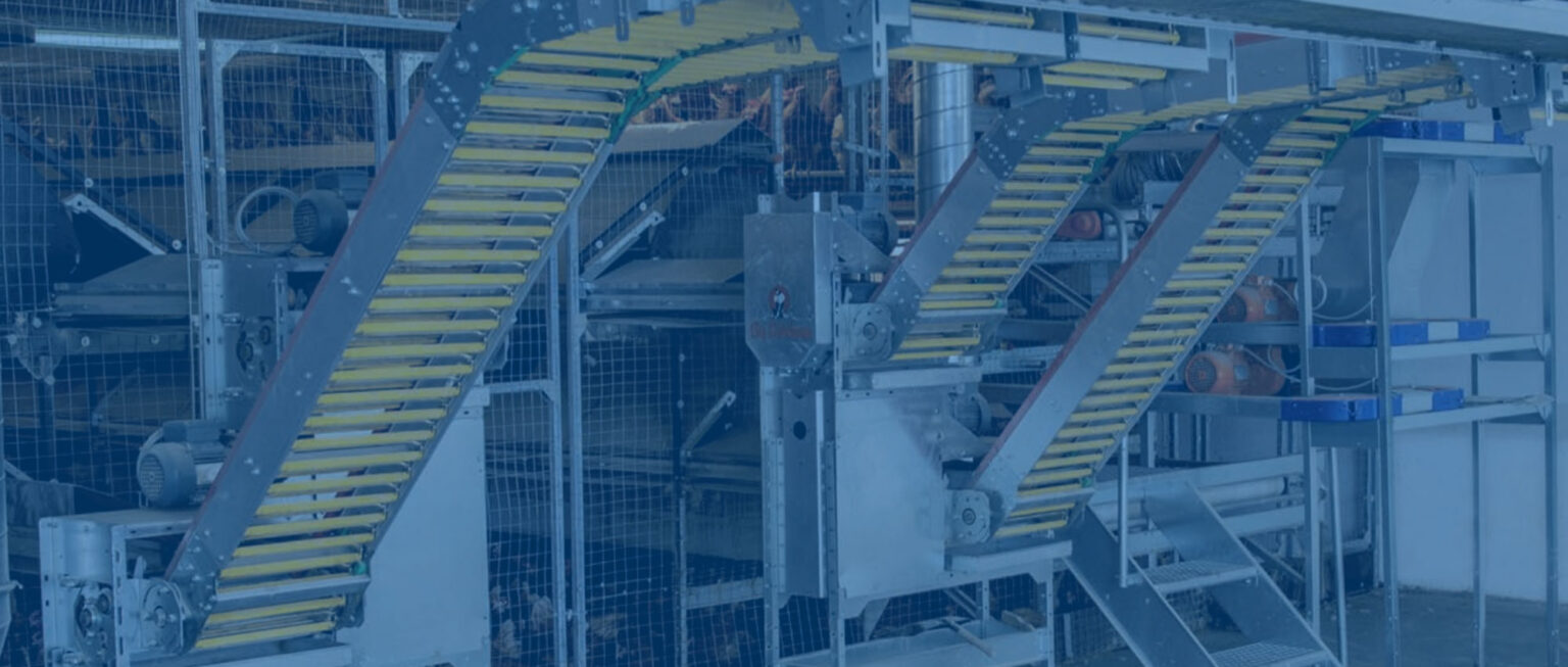 Loader Conveyor – Lubing UK & Ireland Ltd