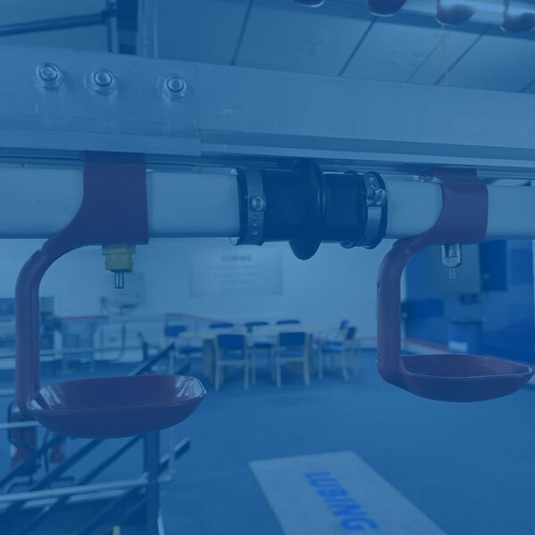 Lubing Poultry Drinking Systems – Lubing UK & Ireland Ltd