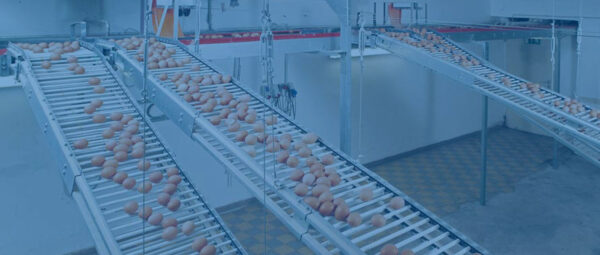 Rod Conveyor – Lubing UK & Ireland Ltd