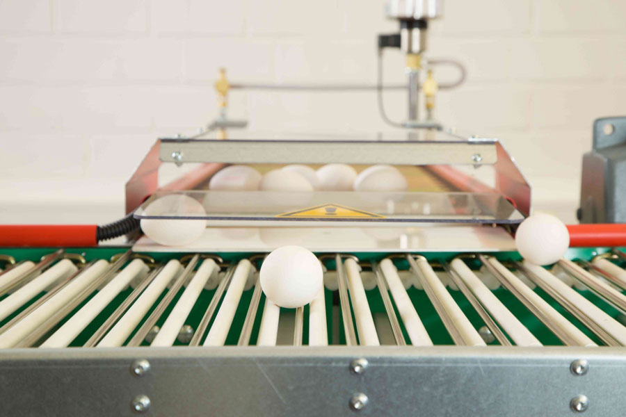 Egg input unit – Lubing UK & Ireland Ltd