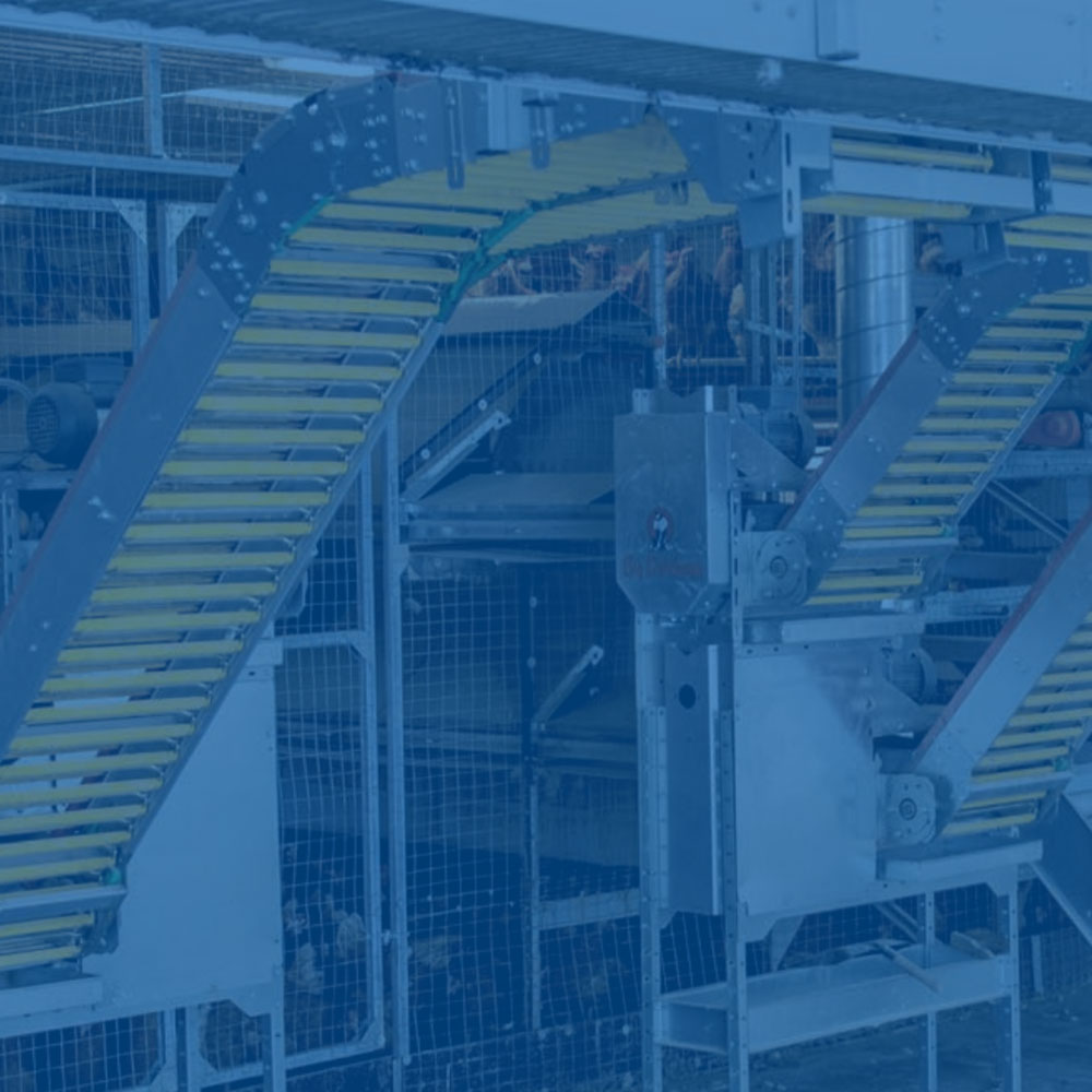 Finger transfer – Lubing UK & Ireland Ltd