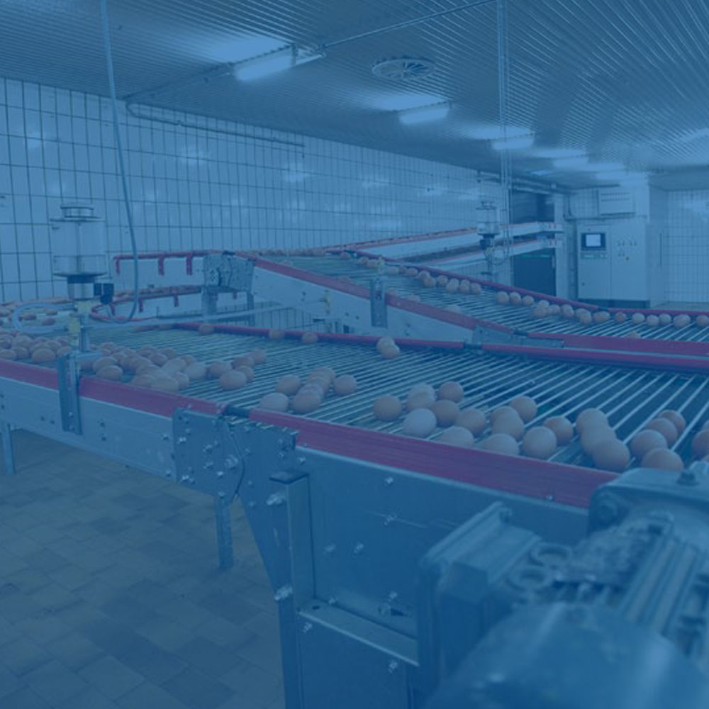 Curve conveyor – Lubing UK & Ireland Ltd