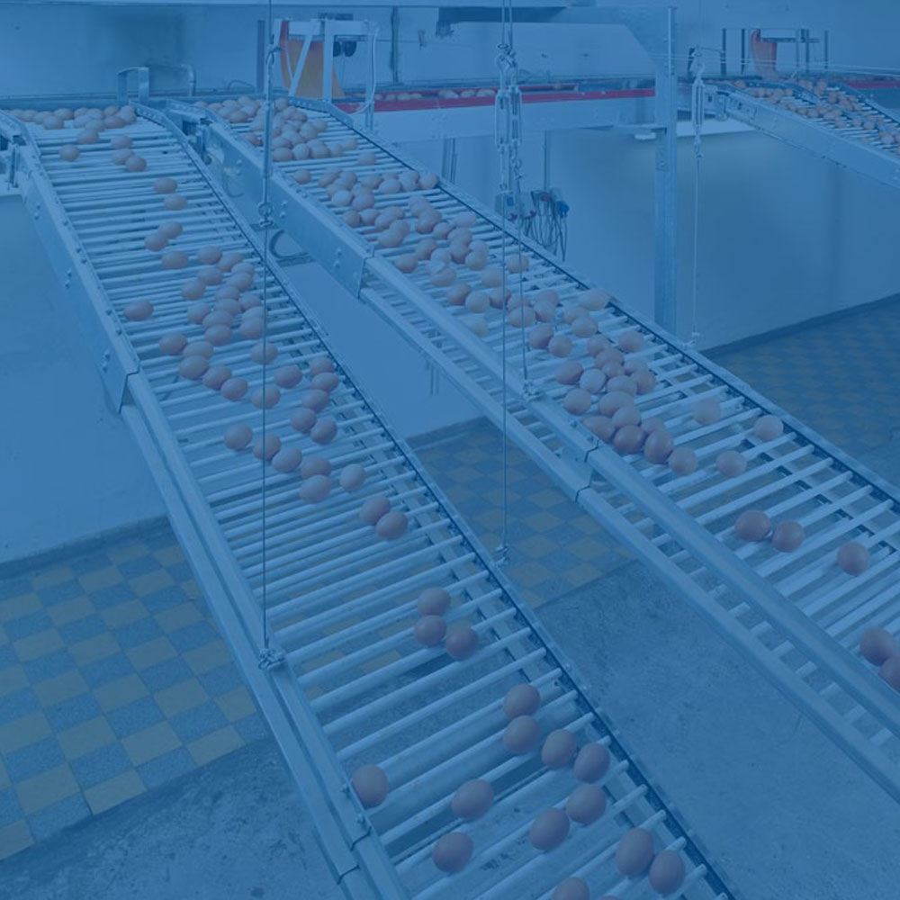 Conveyor Systems – Lubing UK & Ireland Ltd